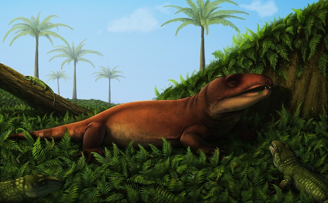 Descobertos répteis da Era Paleozoica em Nazária e Palmeirais - UFPI